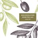 Olive Tree Seamless Pattern PNG, Olive Branches Vintage Pattern, Food ...