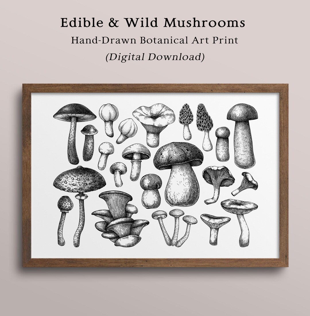 Mushroom Poster, Fungus Botanical Print, 24x36 Digital Download ...