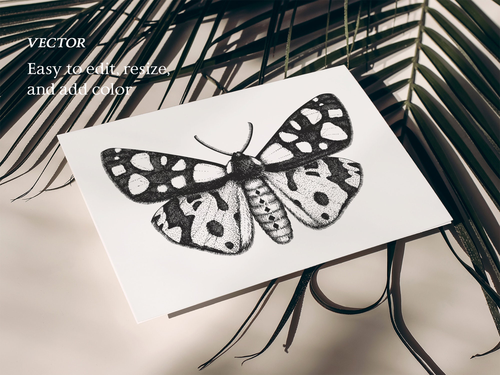 Butterfly SVG, Vintage Insect Print, Butterflies Clipart, Hand Drawn ...