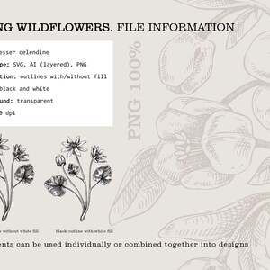 Spring PNG, Wild Flowers SVG, Wildflower Clipart, Vintage Easter ...