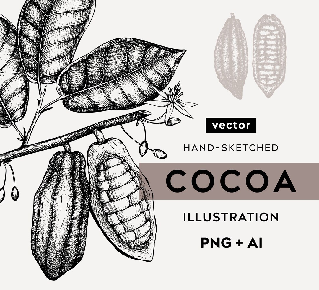 Cocoa Digital Drawings. Chocolate Botanical Print, Vintage Poster, Food ...