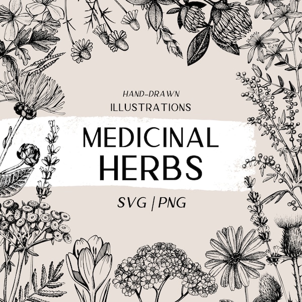 Medicinal Herbs Botanical SVG. Wildflowers Drawings. Tea Herbs Vintage ...
