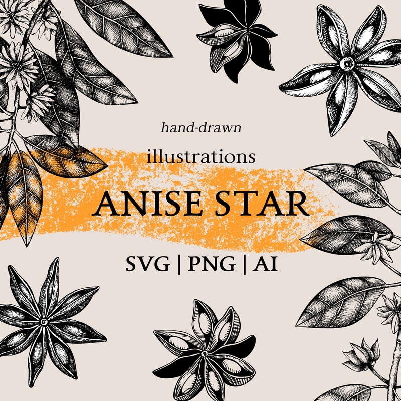 Star Anise - Etsy