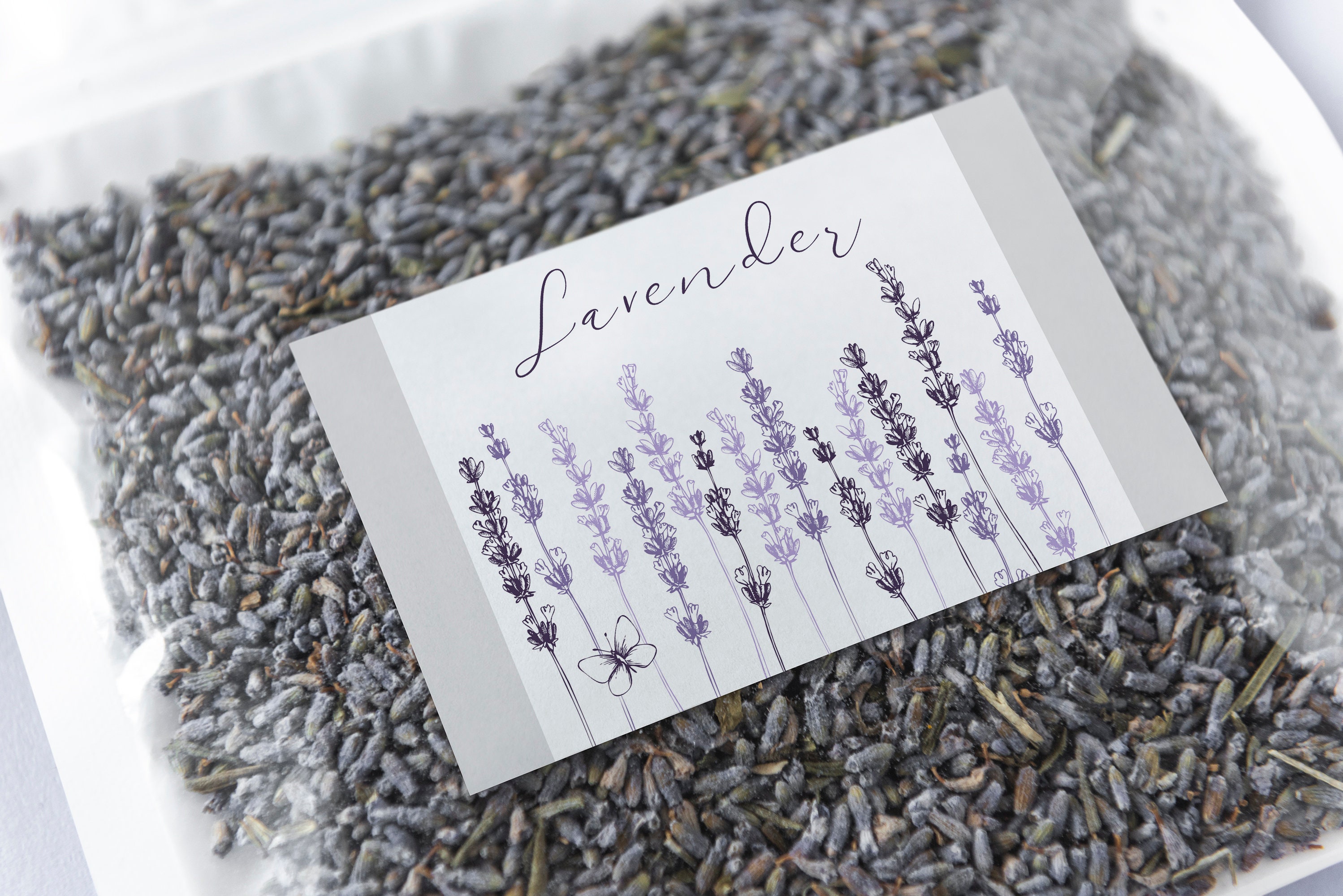 Lavender Clipart, Hand Drawn Flowers, Engraving Vector, Vintage Sketch ...