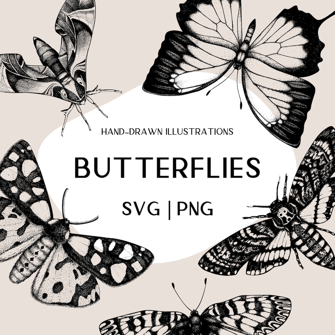 Butterfly SVG, Vintage Insect Print, Butterflies Clipart, Hand Drawn ...