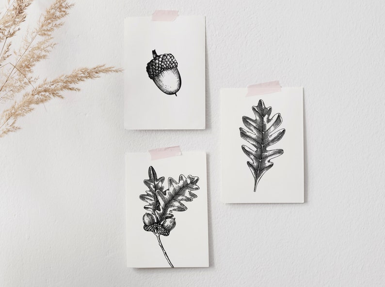 Fall Leaves Sketch. Acorn Decor. Oak Leaf. Tree Cilpart. - Etsy
