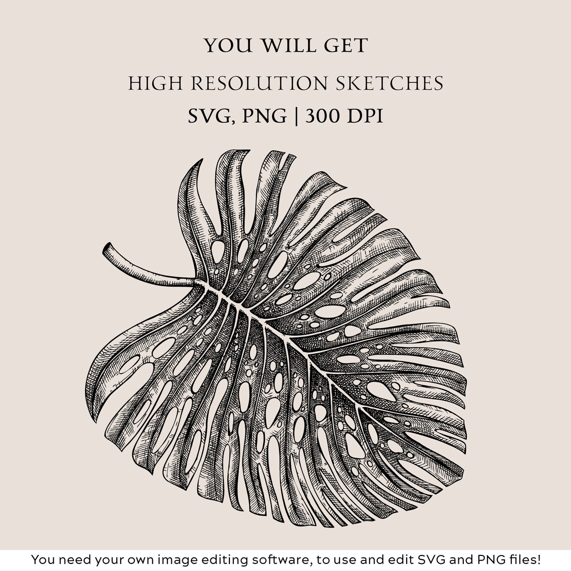 Palm Leaf PNG: Summer Clipart, Tropical Leaves SVG, Exotic Plants ...