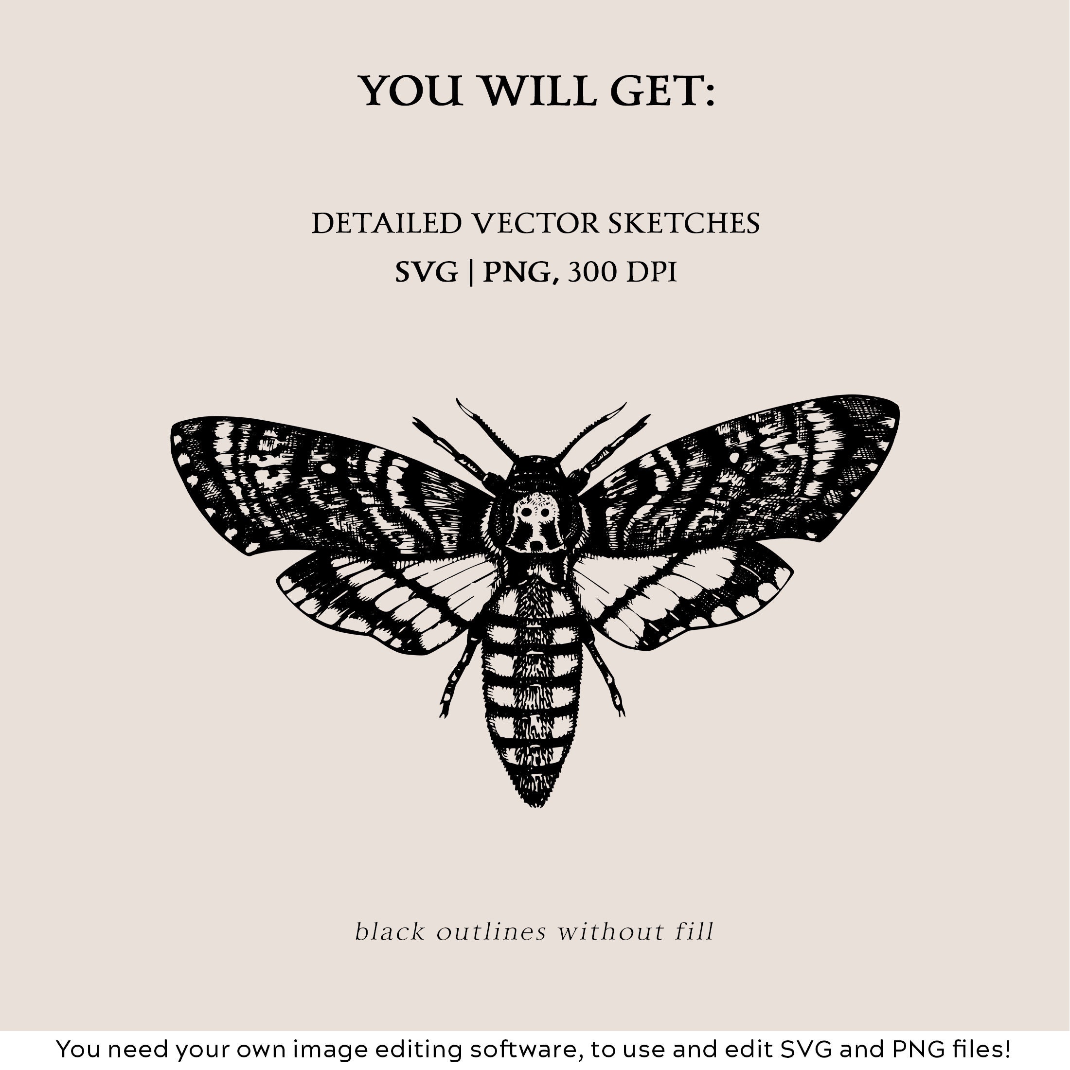 Butterfly SVG, Vintage Insect Print, Butterflies Clipart, Hand Drawn ...