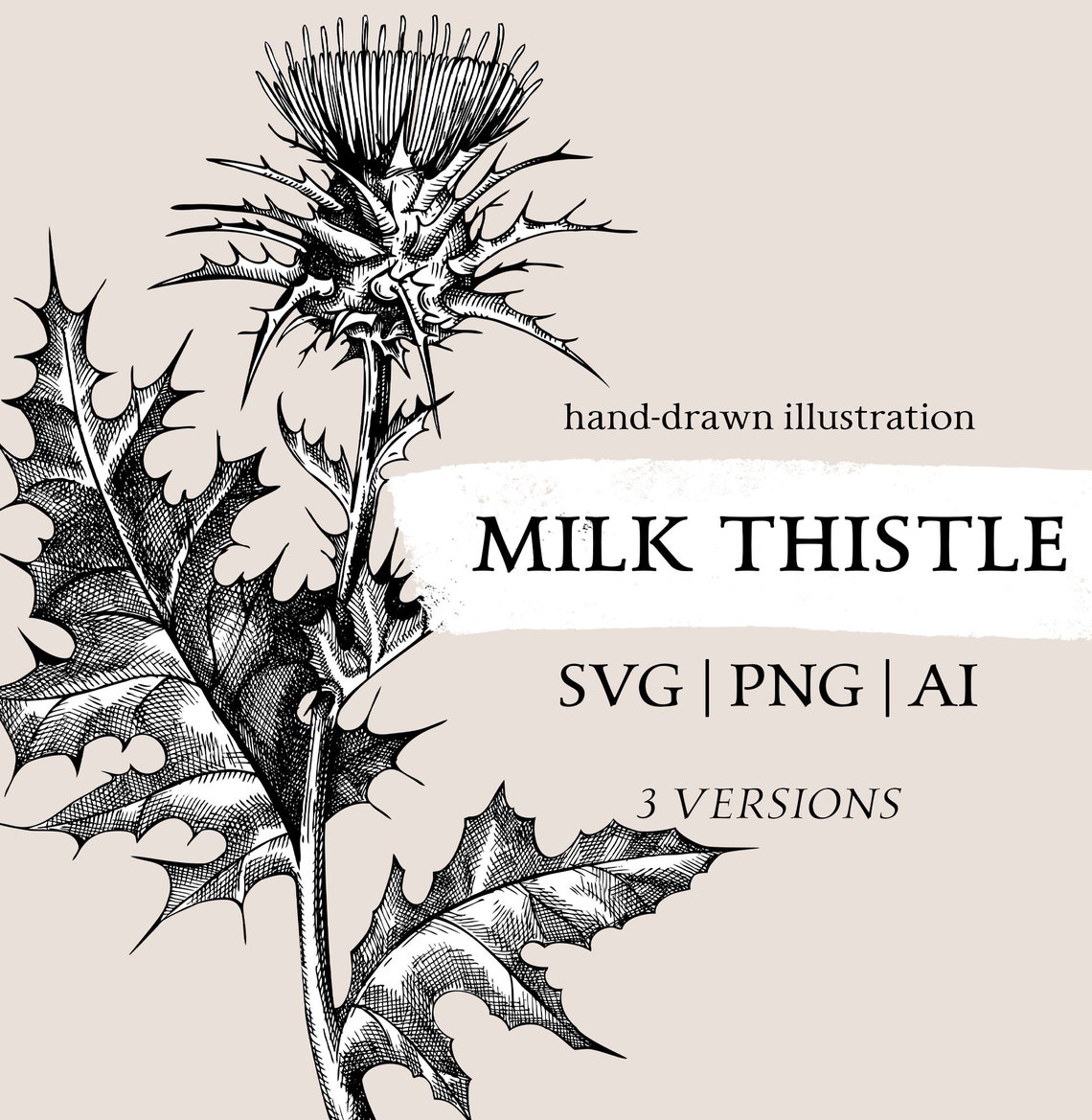 Milk Thistle Sketch. Thistle Floral Clipart. Hand-drawn Witch Herbs ...