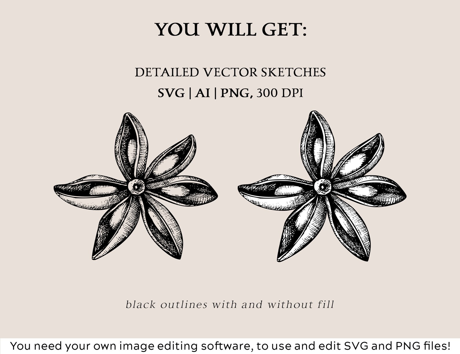 Star Anise, Pumpkin Spice Labels, Vintage SVG Files, Exotic Plant ...