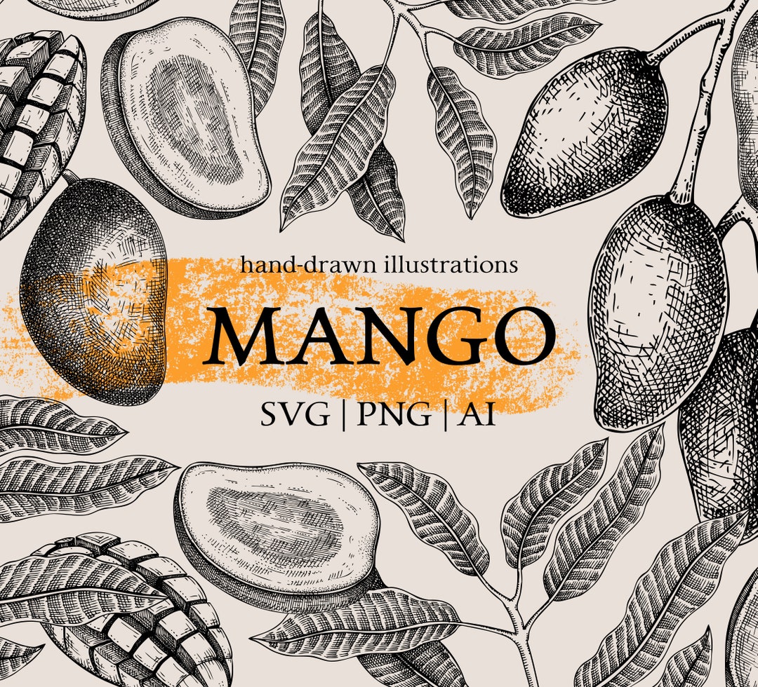 Mango Tree, Exotic Fruit Plants SVG, Engraving Vector Tropical Sketch ...