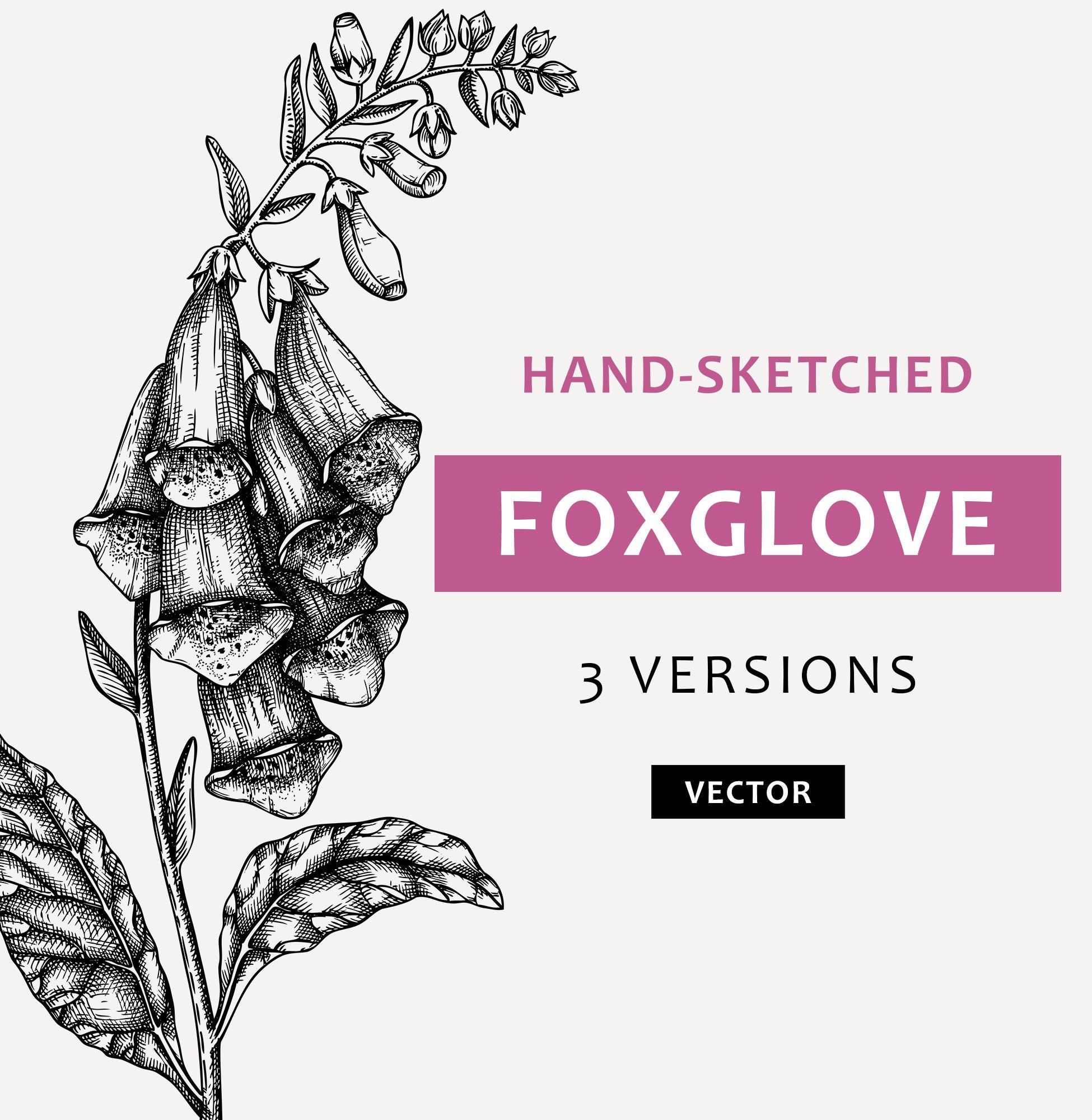 Foxglove Hand-drawn Flower Digital Stamp. Floral Clipart. Foxglove ...
