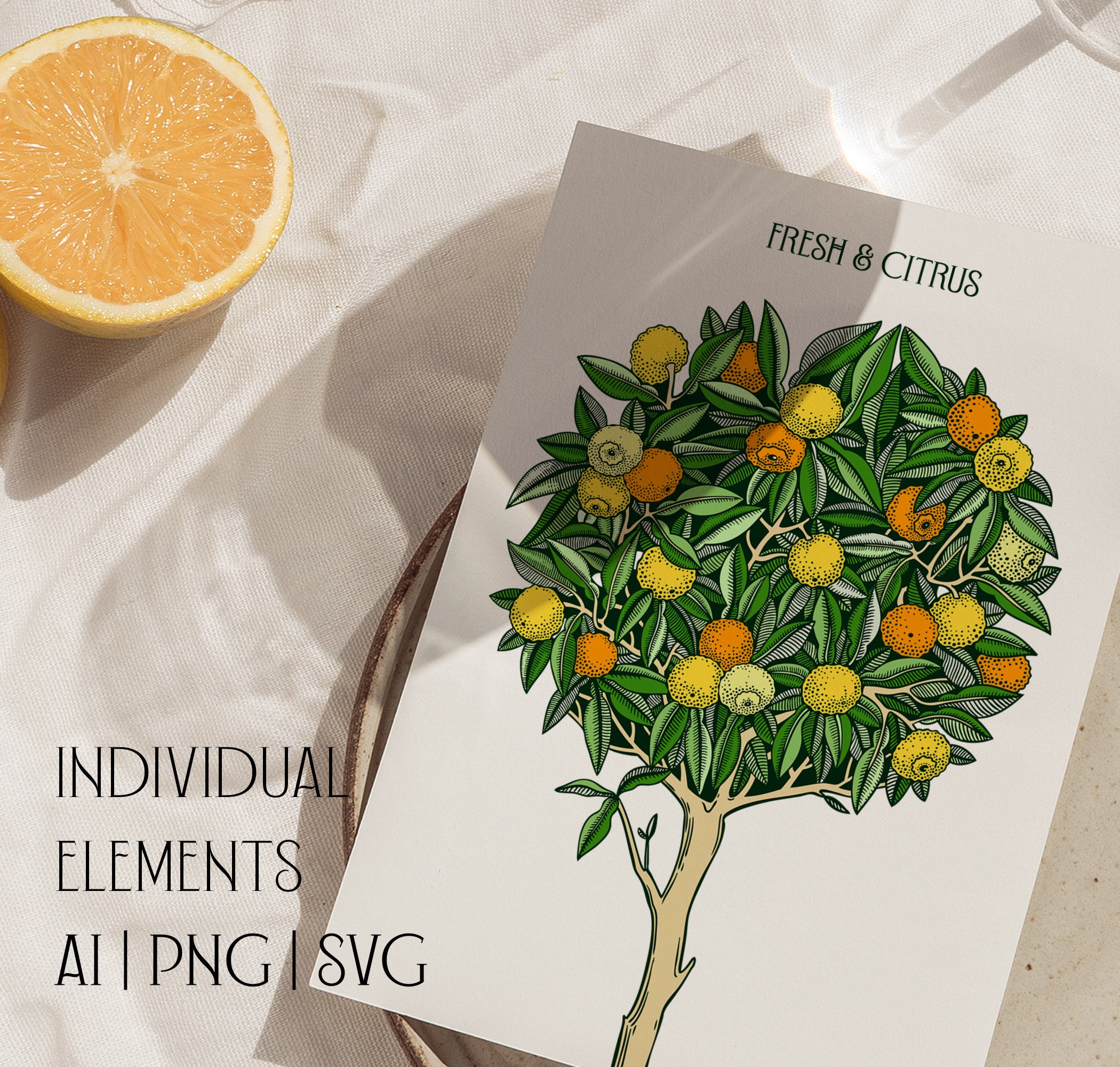 Citrus Garden SVG Files, Tropical Citrus Fruit Plant PNG, Exotic Fruit ...