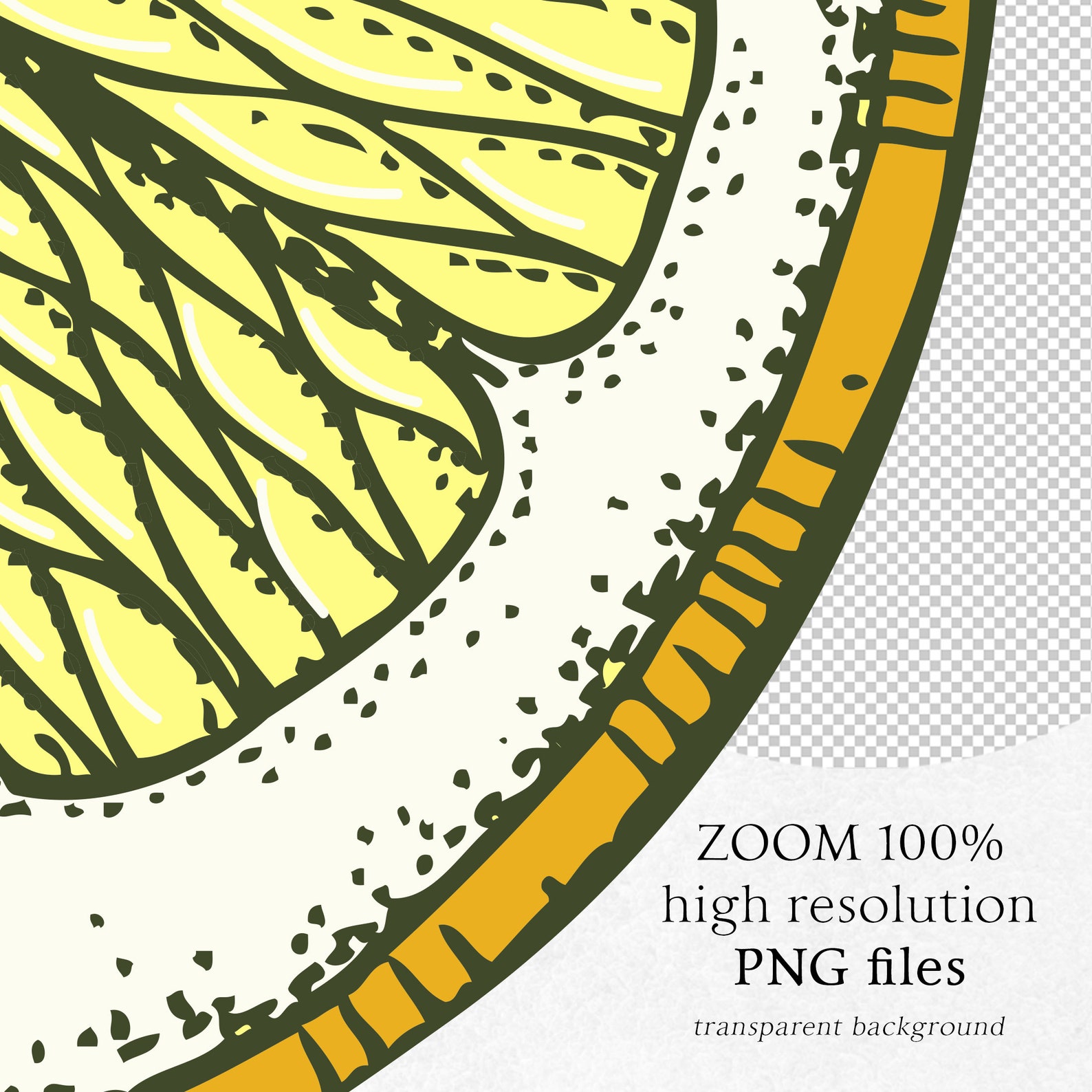Lemon Print, Exotic Fruit Png, Summer Decor, Tropical Citrus Png Design ...