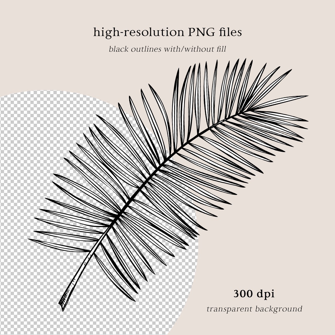 Palm Leaf PNG: Summer Clipart, Tropical Leaves SVG, Exotic Plants ...