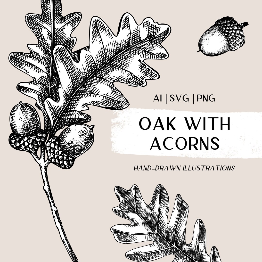 Fall Leaves Sketch. Acorn Decor. Oak Leaf. Tree Cilpart. Autumn Vector ...