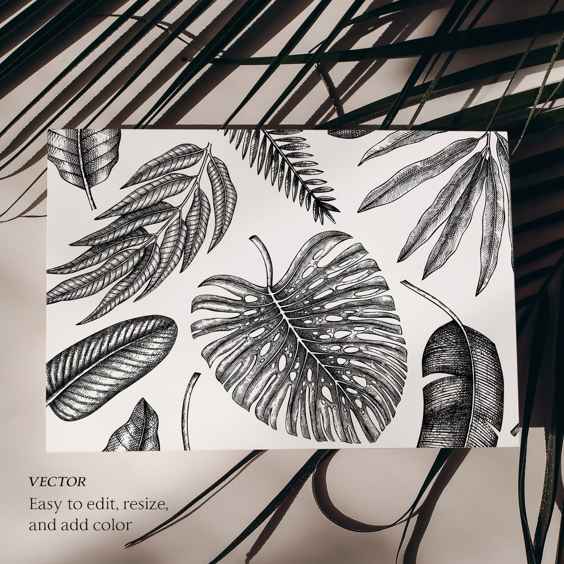 Palm Leaf PNG: Summer Clipart, Tropical Leaves SVG, Exotic Plants ...