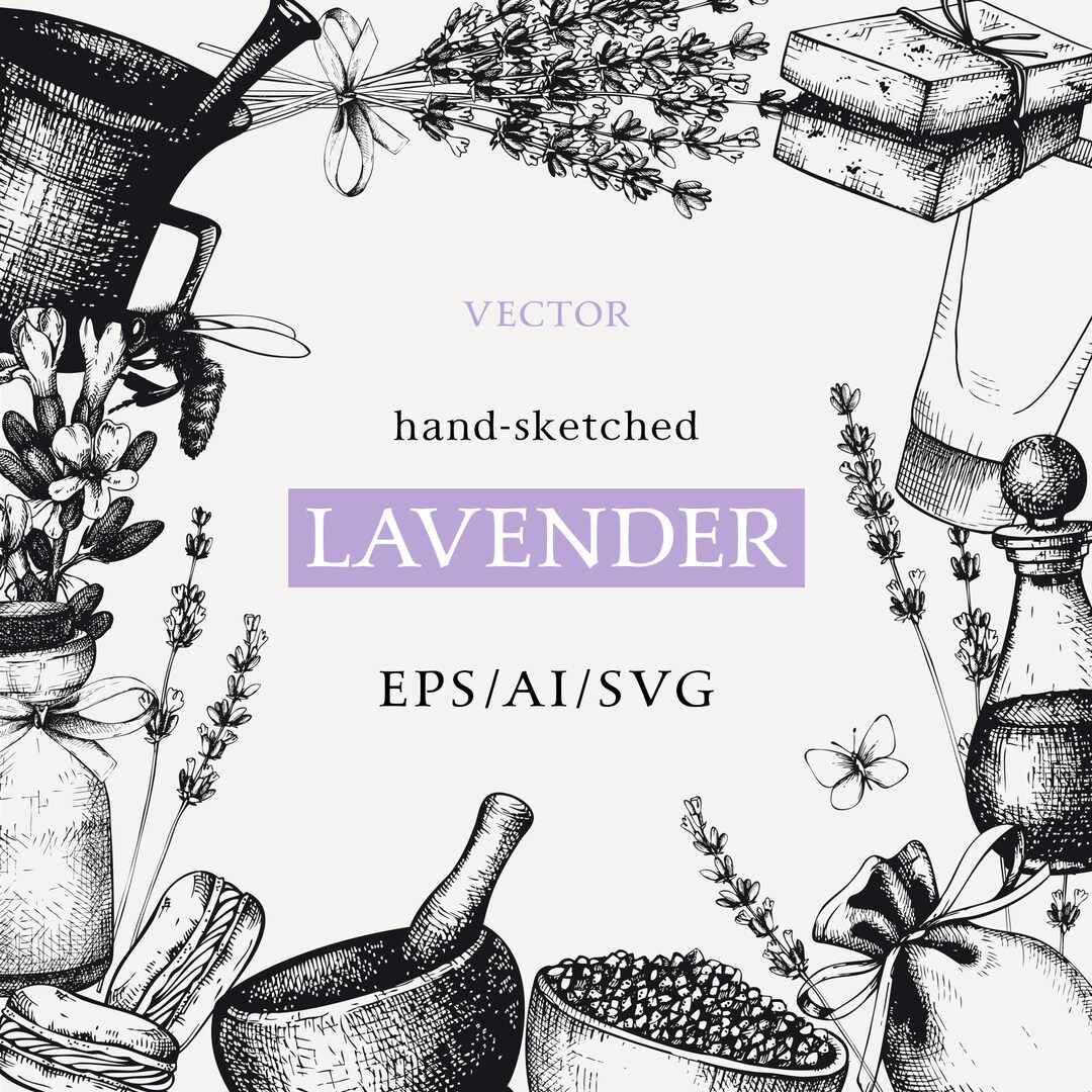 Lavender Clipart, Hand Drawn Flowers, Engraving Vector, Vintage Sketch ...