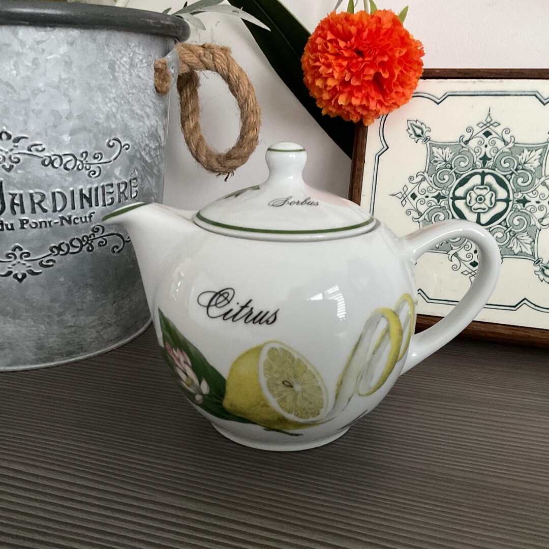 Vintage Apilco Elysian Gardens Teapot Designed by Artist Ronald Van ...