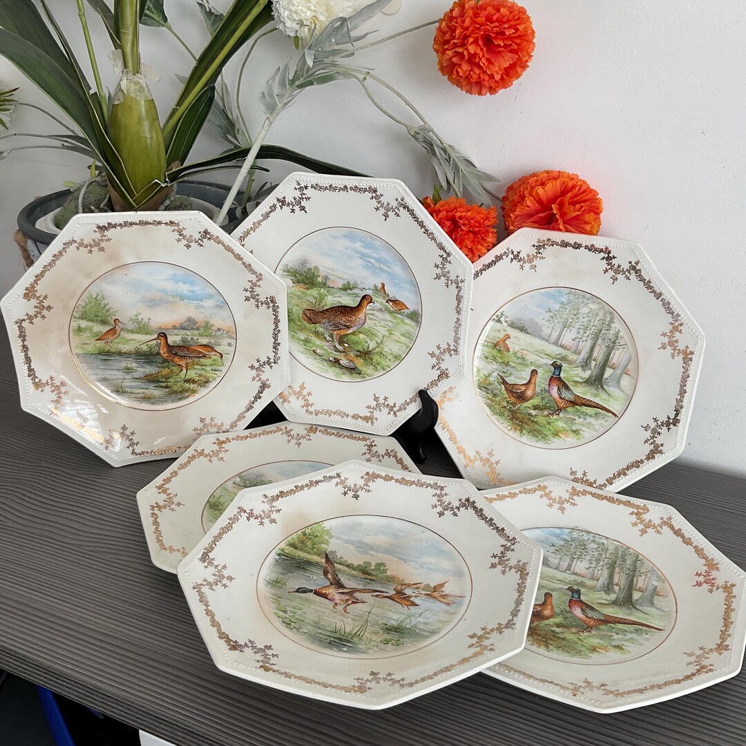 Antique French Game Bird Plates: La Francaise Porcelain, Set of 6 - Etsy