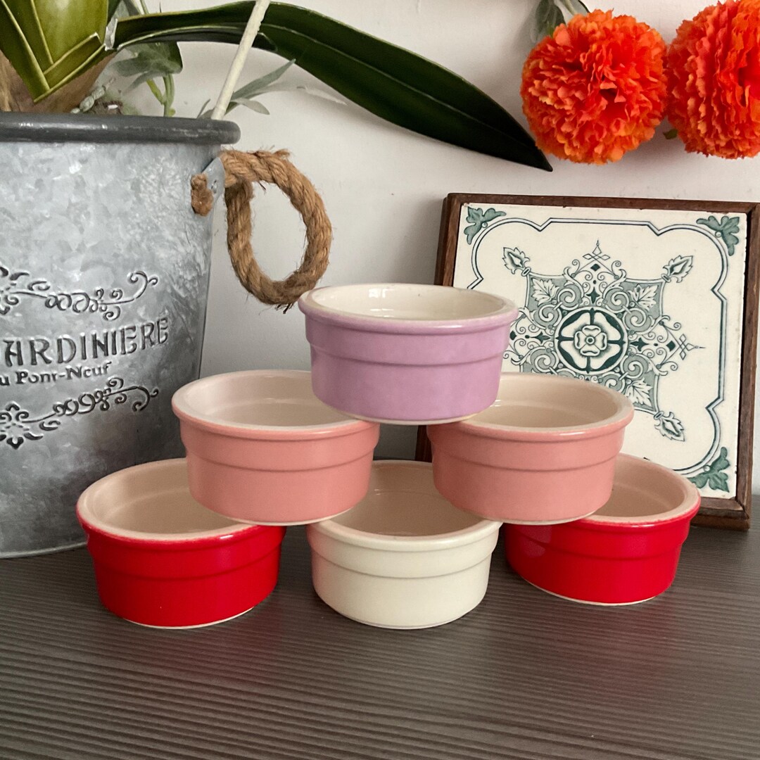 6 X Cermer Multi Colour Ceramic Ramekins, Soufflé Dishes, Custard Pots ...