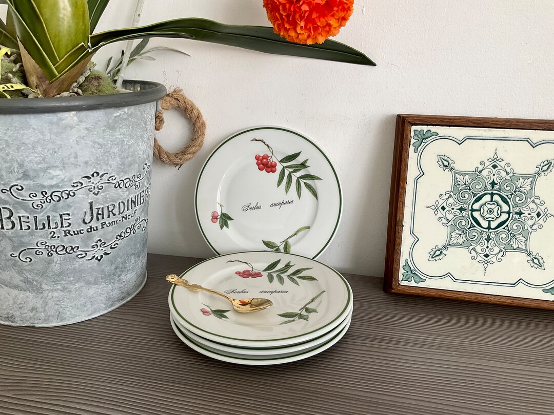 Apilco Porcelaine France Elysian Garden Collection 4 X Side - Etsy