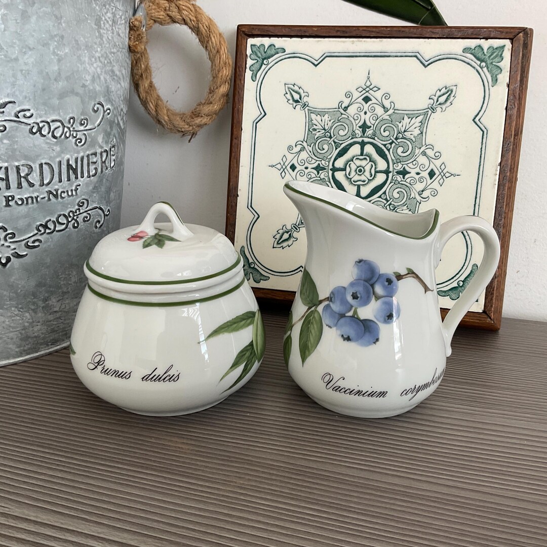 Apilco France Elysian Garden Sugar Bowl & Creamer Boxed Set - Ronald ...