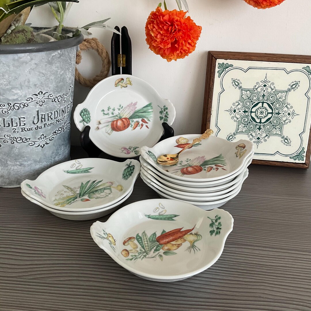 10 APILCO Gratin Dishes, French Oven to Table Eared Dishes, Vegetable ...