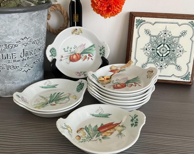10 APILCO Gratin Dishes, French Oven to Table Eared Dishes, Vegetable ...