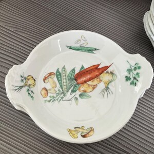 10 APILCO Gratin Dishes, French Oven to Table Eared Dishes, Vegetable ...