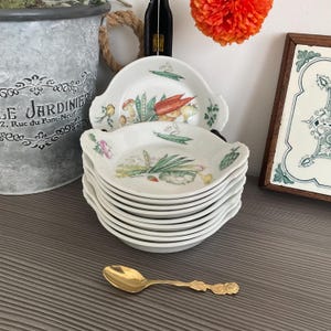 10 APILCO Gratin Dishes, French Oven to Table Eared Dishes, Vegetable ...