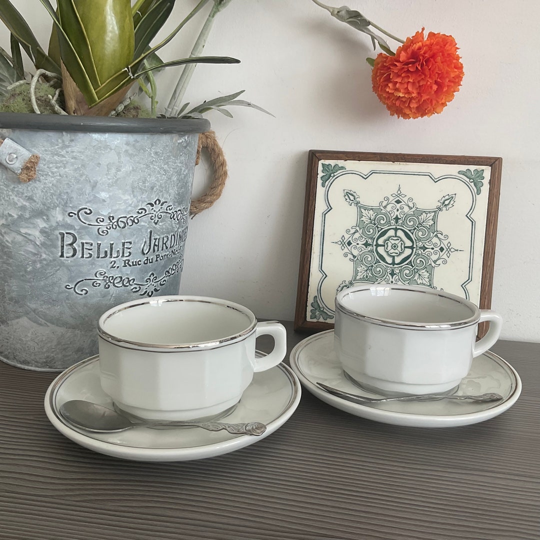 2 Authentic APILCO Flora HUGE Cappuccino/chocolate Cups and Saucers ...