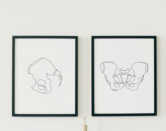 Half Pelvis Printable Pelvic Bone Line Art Anatomy - Etsy