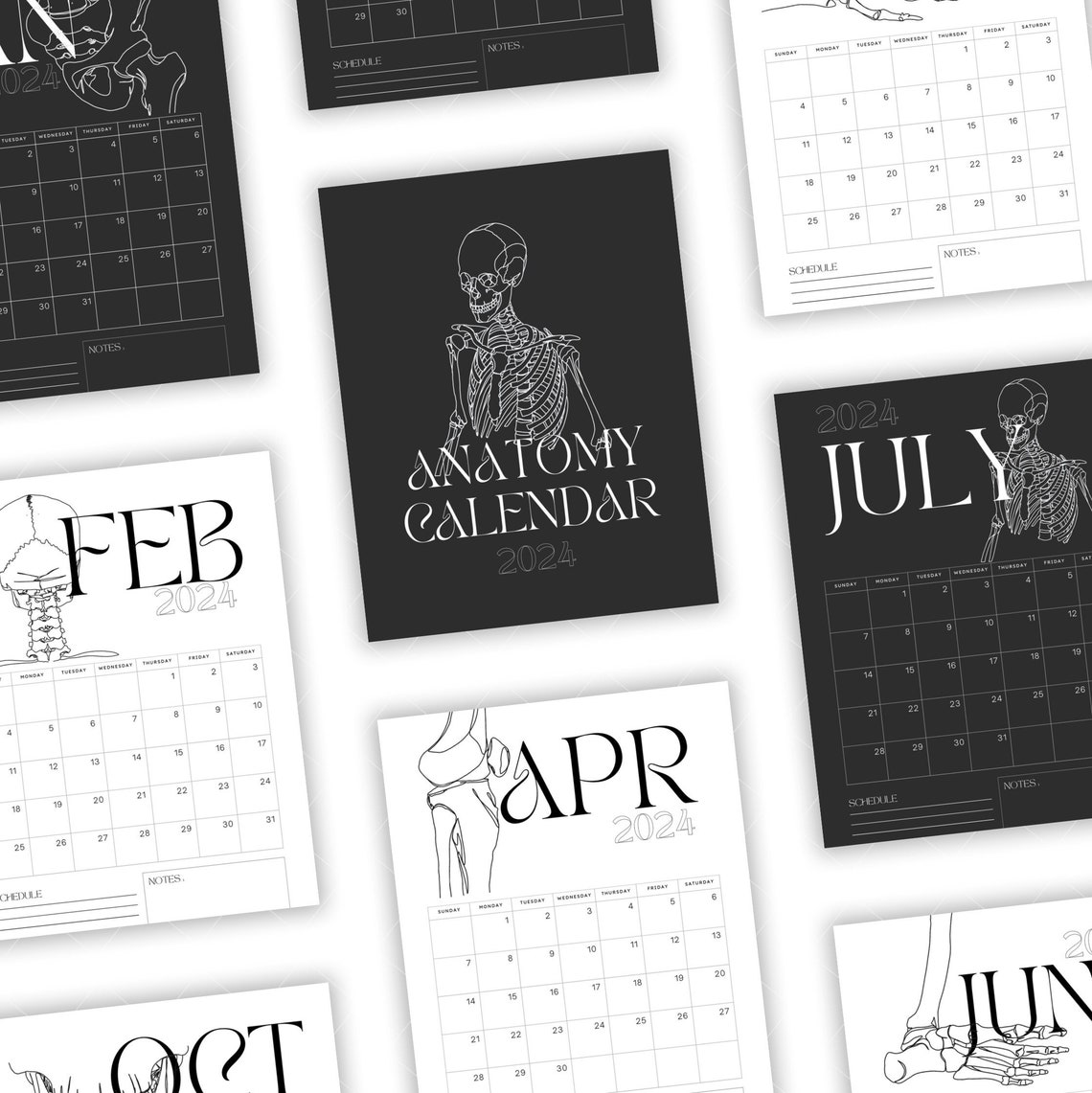 Anatomy Calendar 2024, Skeleton Calendar 2024, 2024 Digital Download ...
