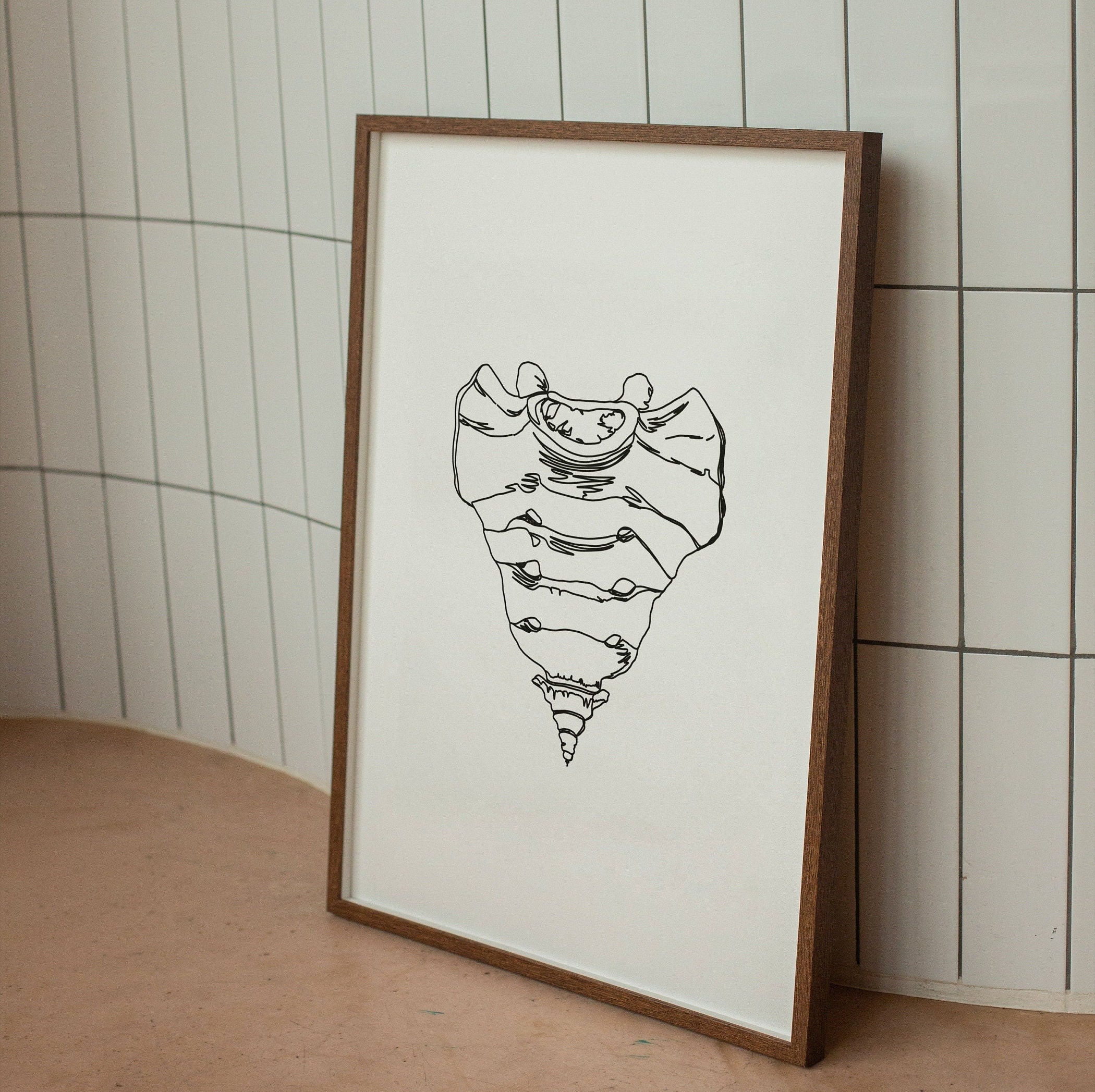 Sacral Bone Line Art Poster Minimalist Anatomy Sacral Bone Sacrum ...