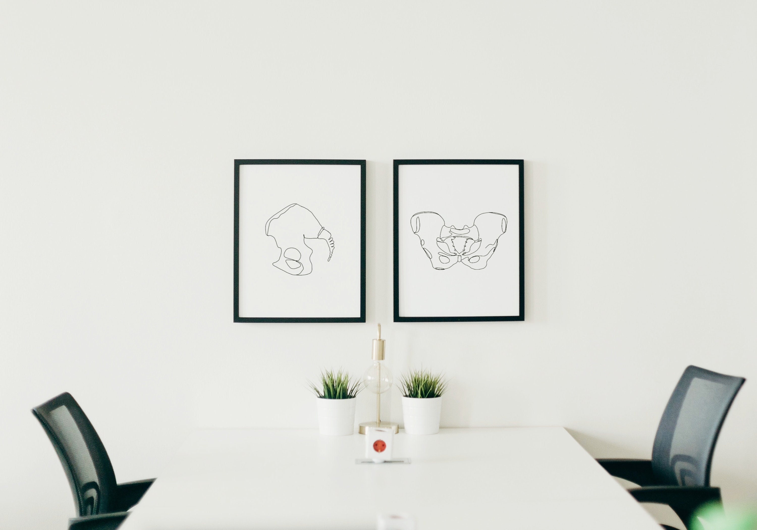 Pelvis Pelvic Bone Line Art Printable Anatomy Illustration - Etsy Australia