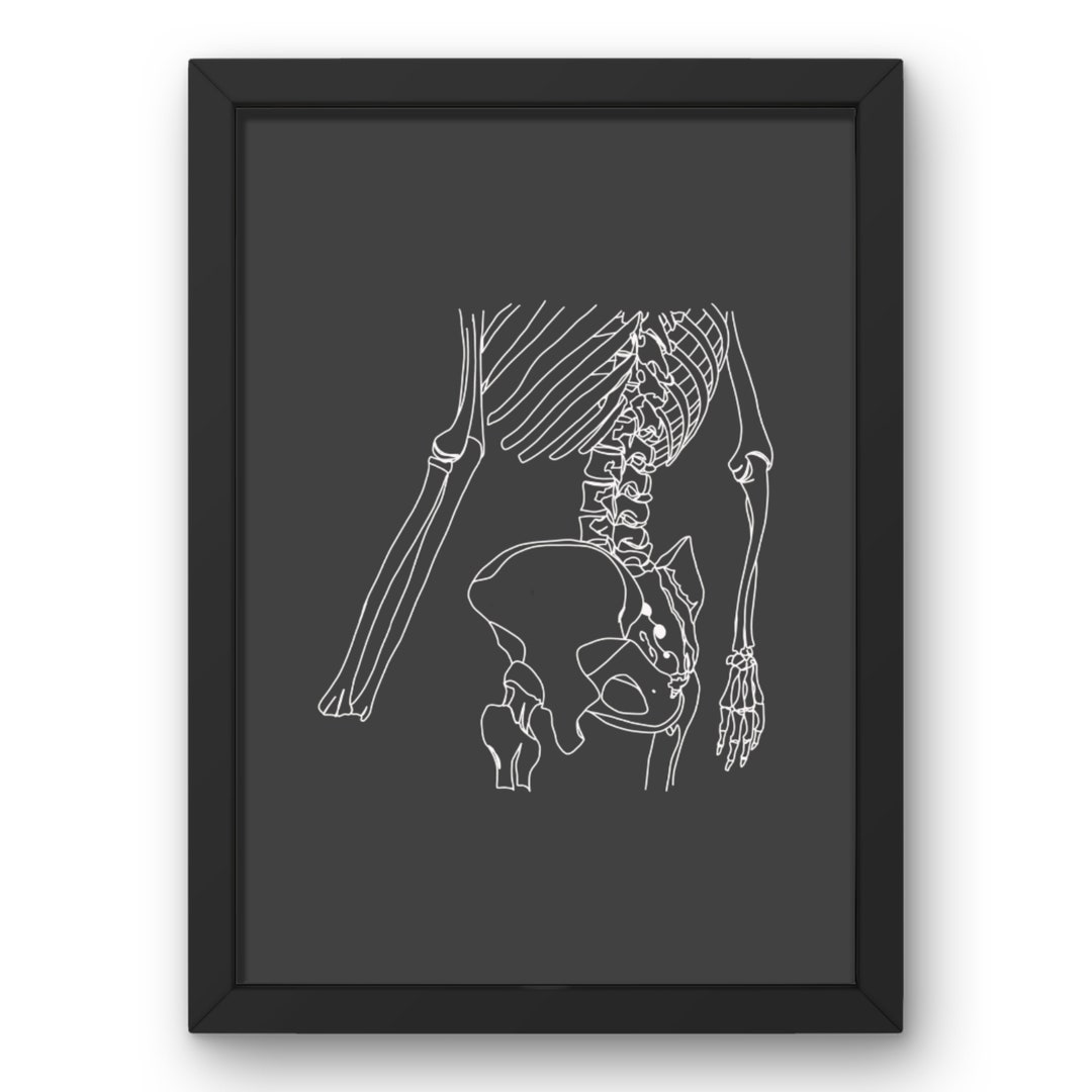 Anatomy Wall Art, Hip Bone Poster, Lower Back Anatomy Poster, Abstract ...