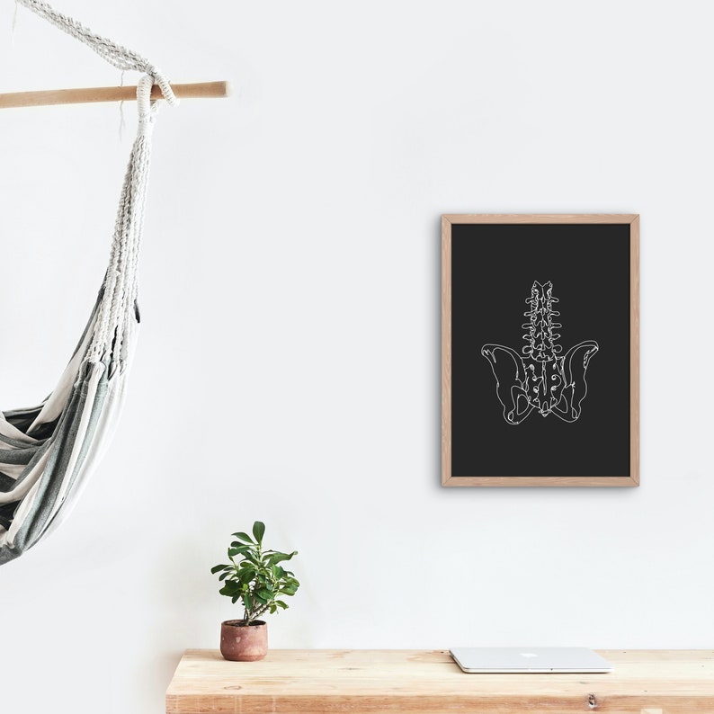 Pelvis Pelvic Bone Line Art Printable Anatomy Illustration Minimalist ...