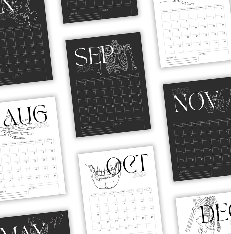 Anatomy Calendar 2024, Skeleton Calendar 2024, 2024 Digital Download ...
