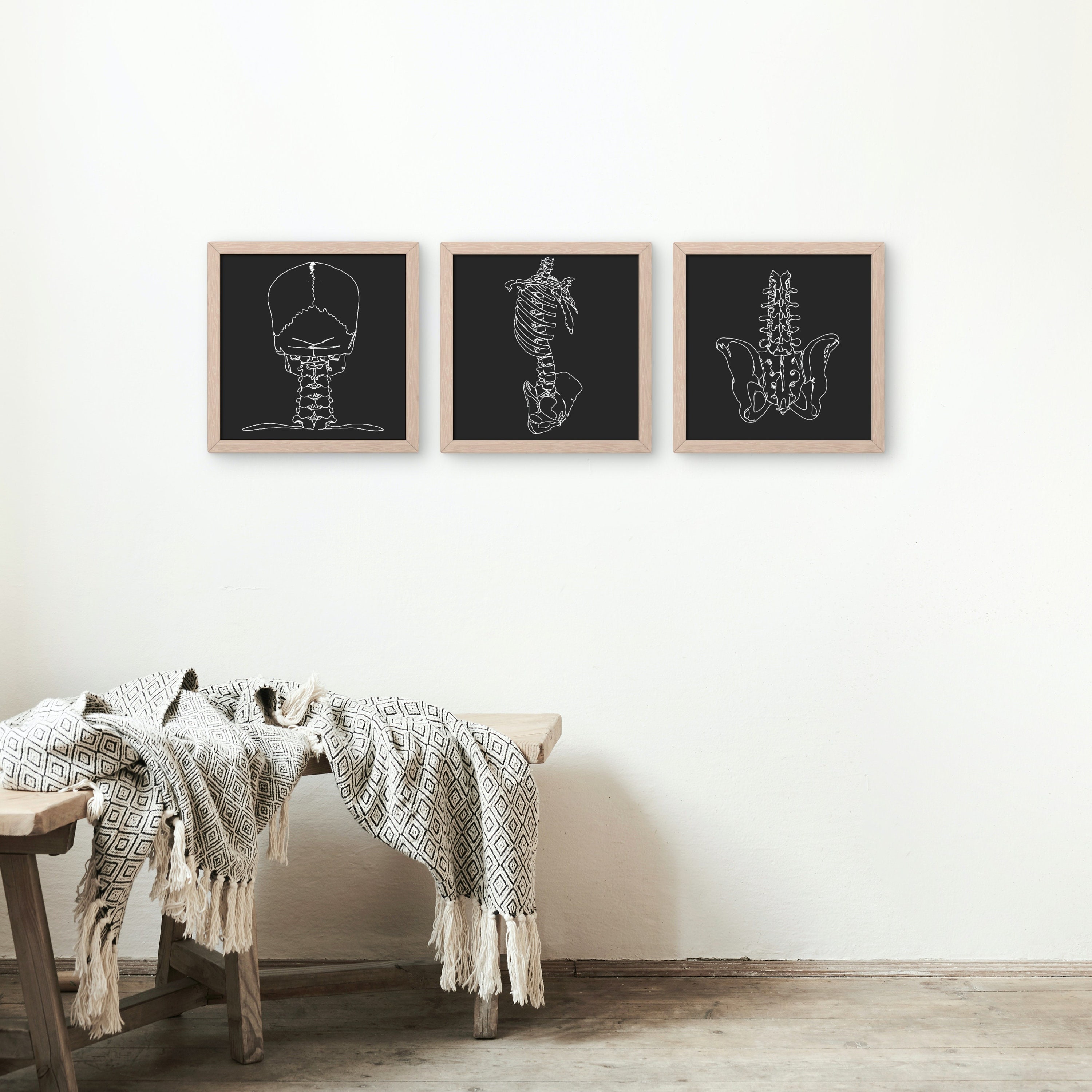 Spinal and Pelvic Chiropractic Art Bundle Chiropractor - Etsy