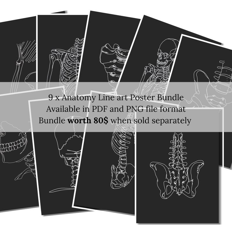 Anatomy Pelvic and Spinal Poster Bundle, 12 Posters, Physiotherapy ...