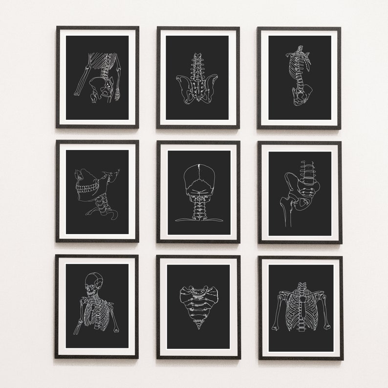 Anatomy Pelvic and Spinal Poster Bundle 12 Posters - Etsy