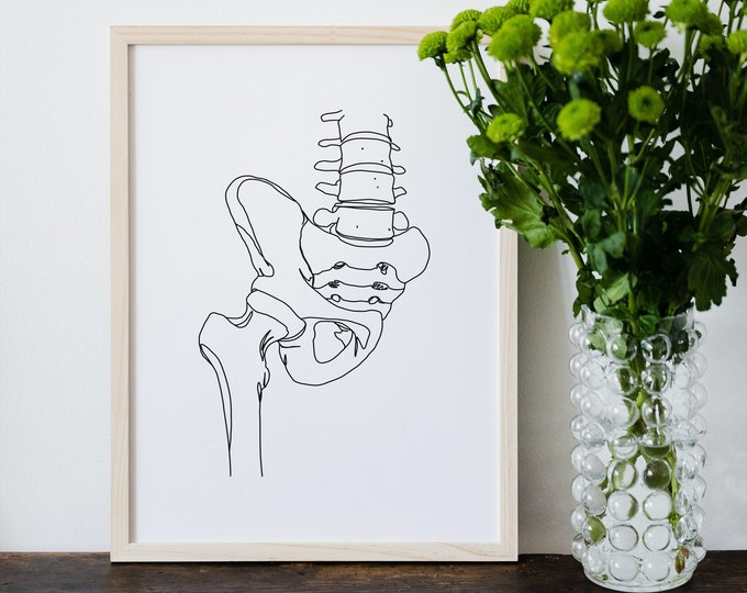 Pelvis Printable Updated Pelvic Bone | Line Art Anatomy Illustration ...