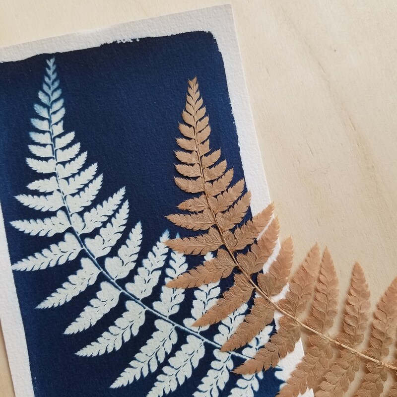 Cyanotype Cards - Etsy UK