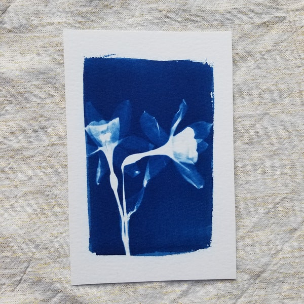 Cyanotype Cards - Etsy UK