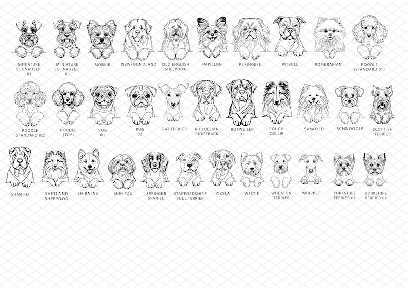 Cockapoo Line Drawing, Line Art Dog Print, Cockapoo Picture, Fun Gift ...