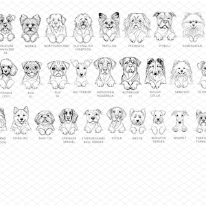 Personalised Cockapoo Print, Cockapoo Line Art, Cockapoo Portrait, Dog ...