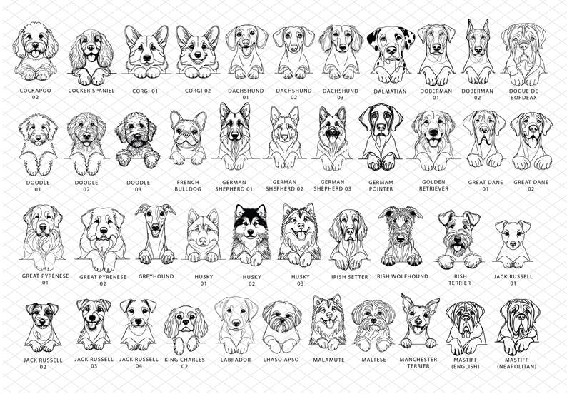 Irish Setter Print, Line Art Dog Print, Irish Setter Picture, Fun Gift ...
