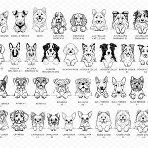 Personalised Springer Spaniel Digital Print, Springer Spaniel Dog ...