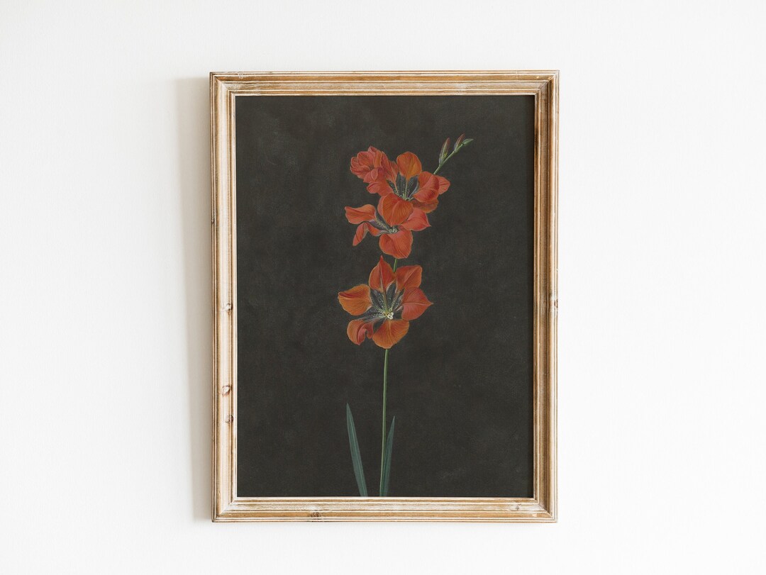 Vintage Red Flower Print, Digital Download, Black Background, Botanical ...